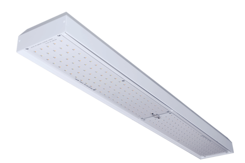 Products & Services | CABA Tech